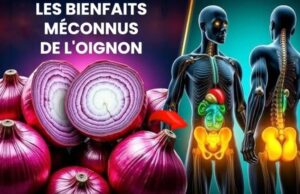 15 Bienfaits pour la Santé de Manger des Oignons Crus Chaque Jour ...